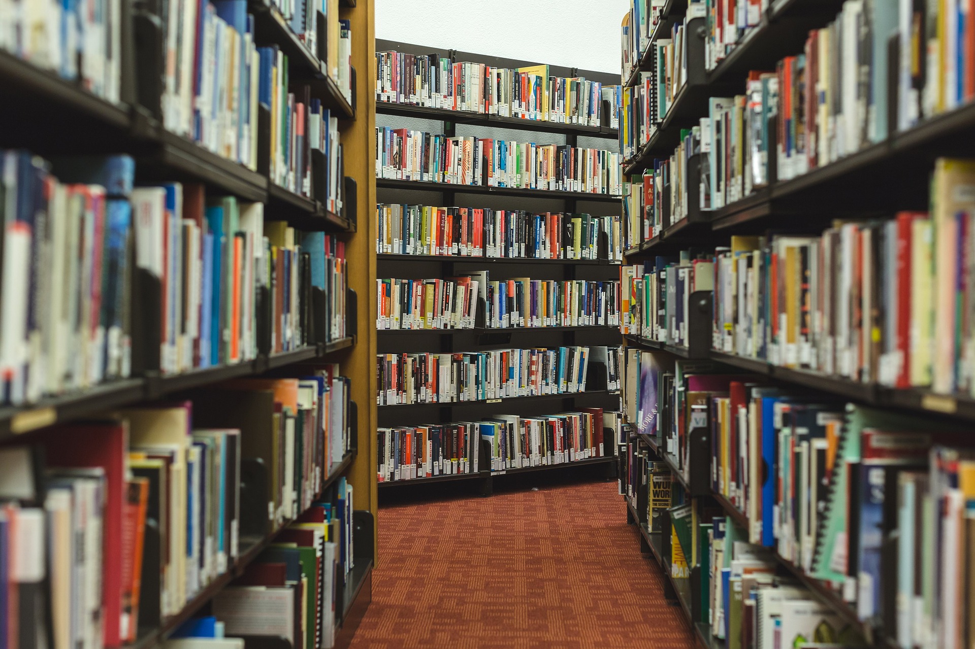 The Midnight Library – Review - The Word Wolf